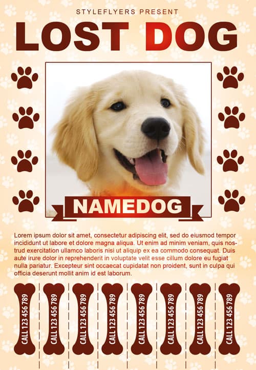 Free Printable Lost Pet Flyer Printable World Holiday